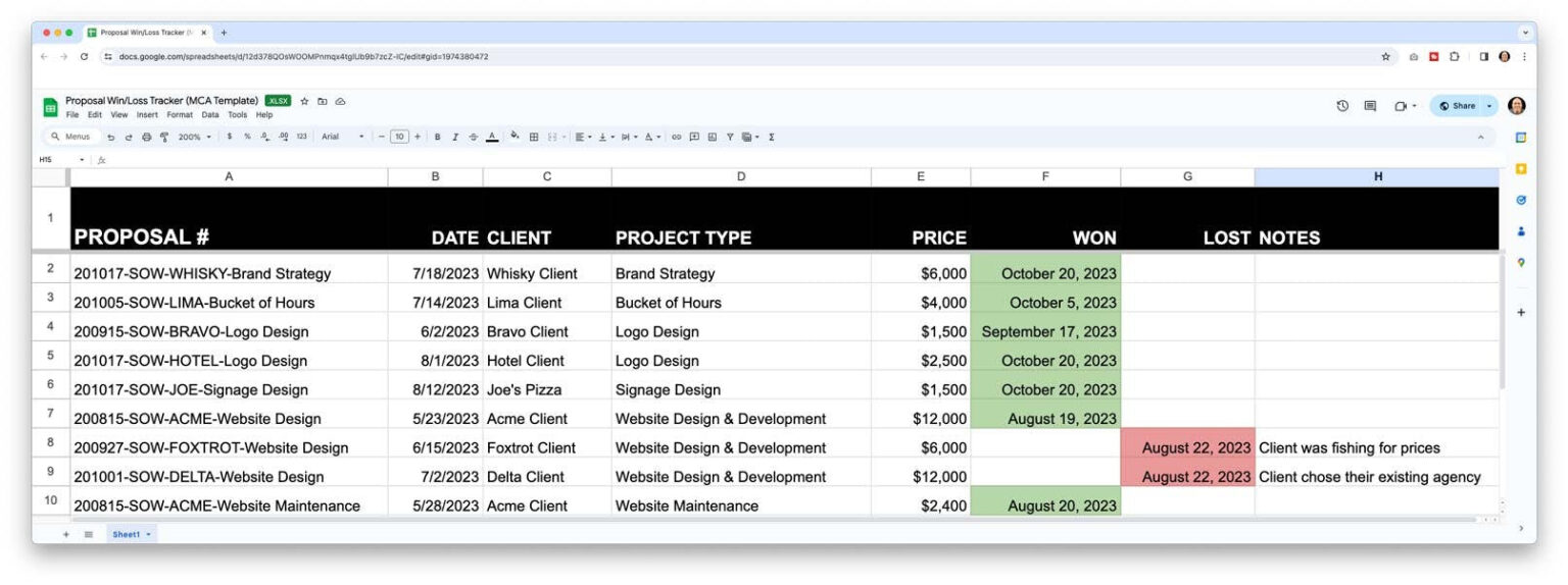The Cat Was Not in the Bag: Find Out Why You Lost a Project - Michael Janda